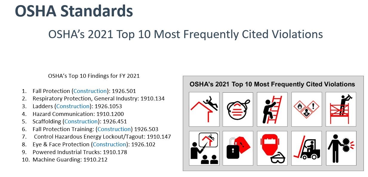 About the Instructors